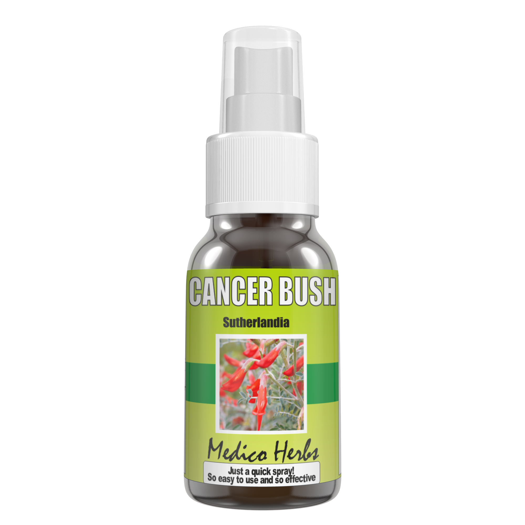 Sutherlandia Frutescens Spray (50ml)